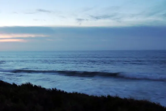 Whispering Waves | UCSF Synapse